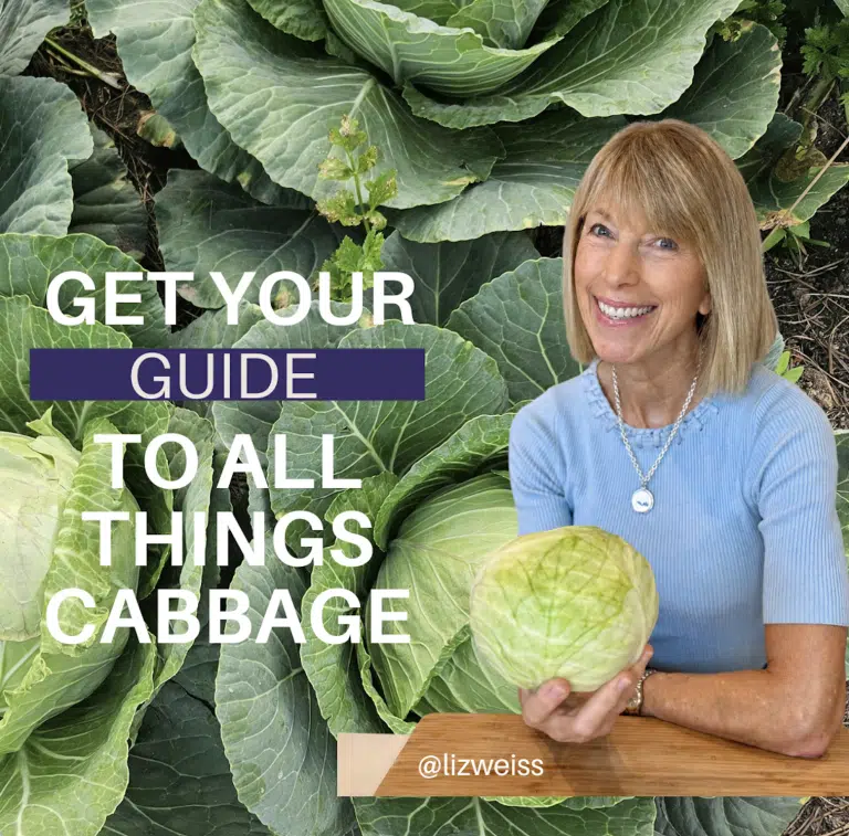 Your Guide to Cabbage: The Humble, Affordable Cruciferous Vegetable ...